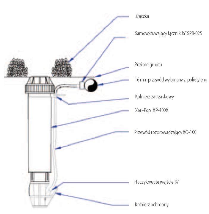 Mikrozraszacze Xeri-Pop™ - Rain Bird - Systemy nawadniające - Bonita